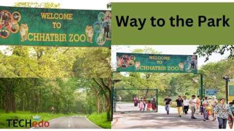 Chhatbir Zoo trip near Chandigarh. Chhatbir Zoo ticket price, Zirakpur Zoo