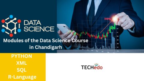 Data Science Institute in Chandigarh - Learn from Techedo Technologies.